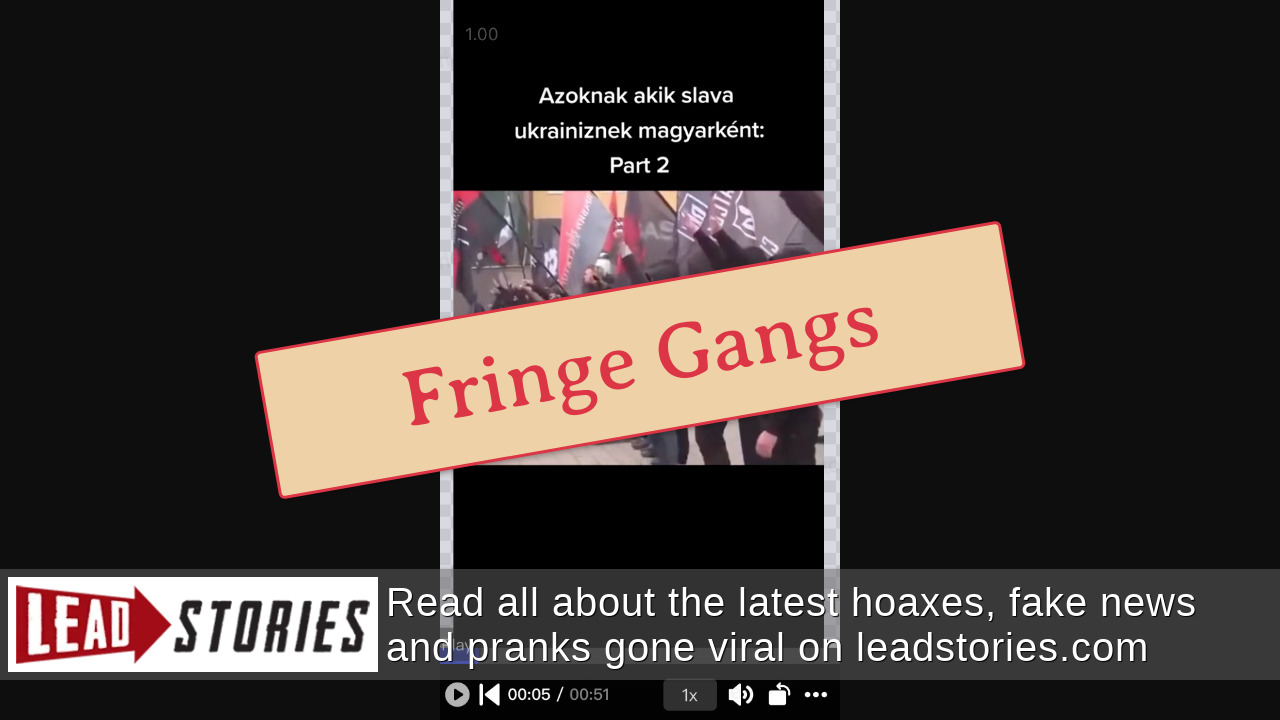 Fact Check: Video Does NOT Show Ukraine Terrorizing Ethnic Hungarians ...