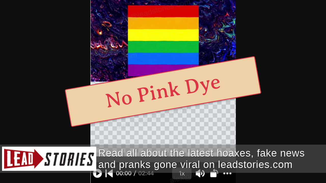 Fact Check: LGBTQ Flag Designer Did NOT Omit Pink Stripe To Promote ...